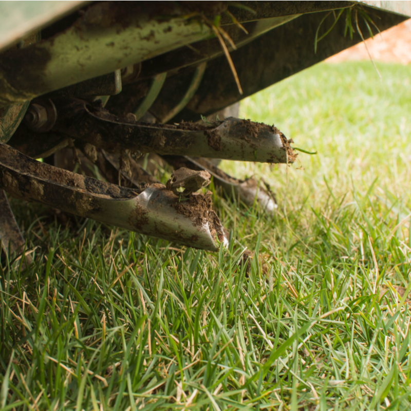 How Spring Aeration Achieves A Healthier Lawn - Agxact